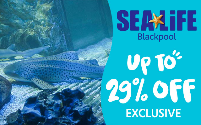 Blackpool Attraction & Tickets | Picniq