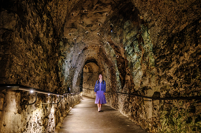Dover Castle Tickets | Save Up to 18% | Family Days Out