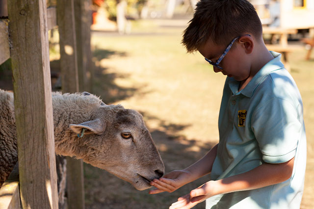 Kent Life Tickets, Up To 20% Off Discount