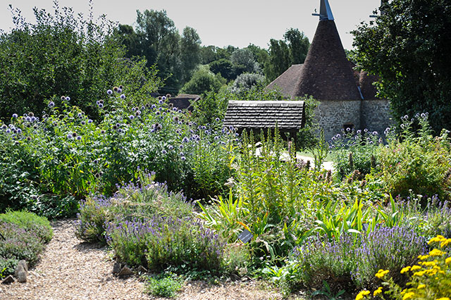 Kent Life Tickets, Up To 20% Off Discount