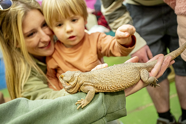 ROARR! Dinosaur Park Norfolk | Save Up to 15% | Picniq