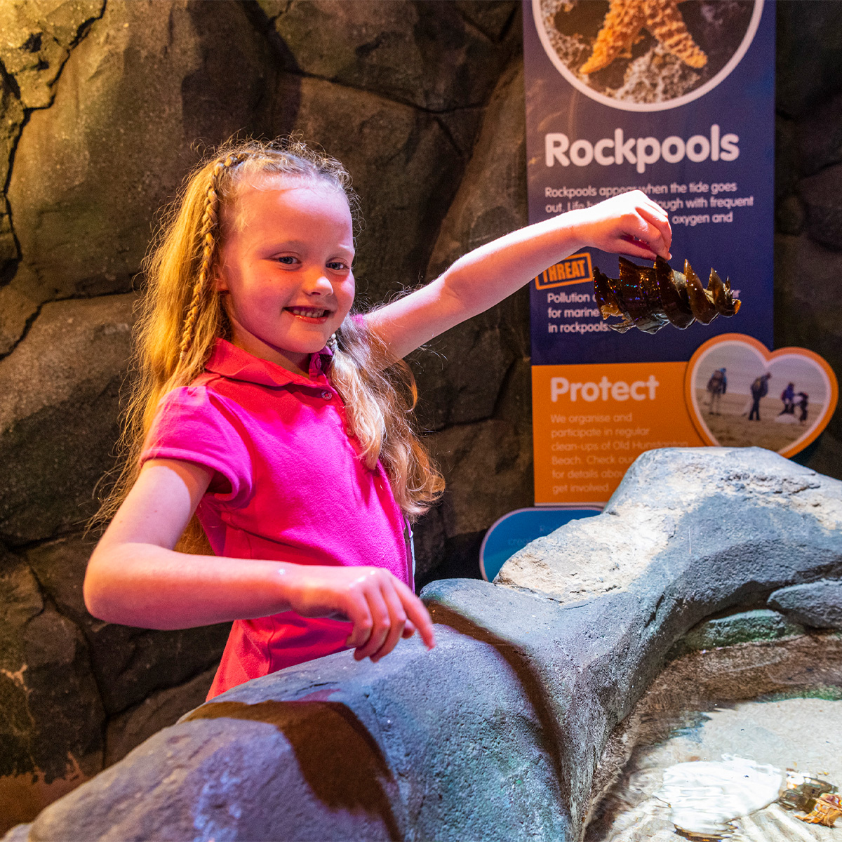 SEA LIFE Hunstanton, Exclusive family ticket