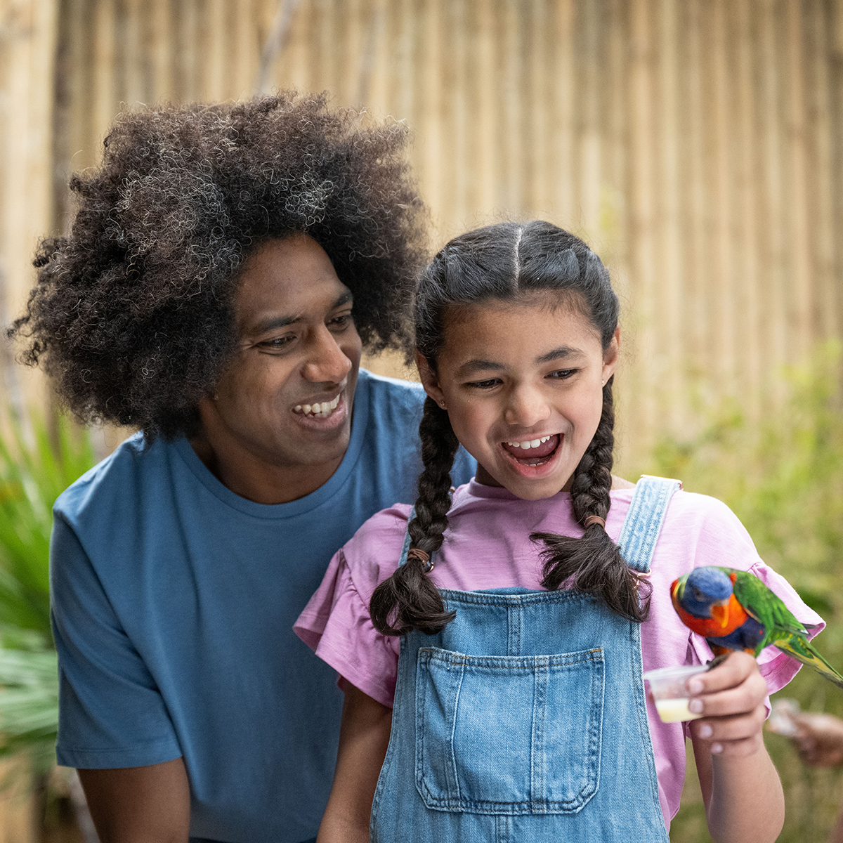 West Midlands Safari Park | Family Fun | Up to 35% Off | Picniq