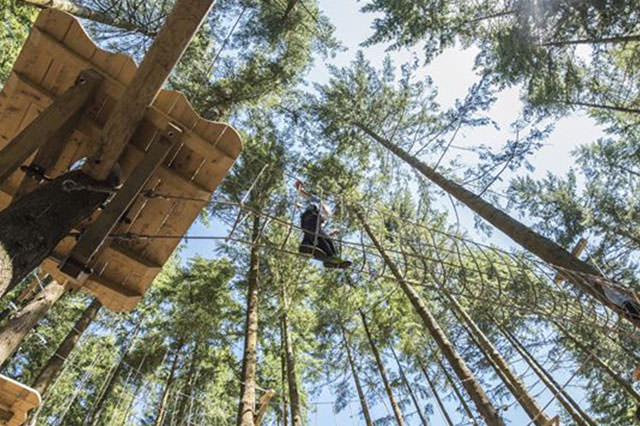 Zip World Tree Hoppers Tickets, 10% off
