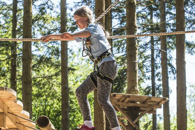 Zip World Tree Hoppers Tickets, 10% off