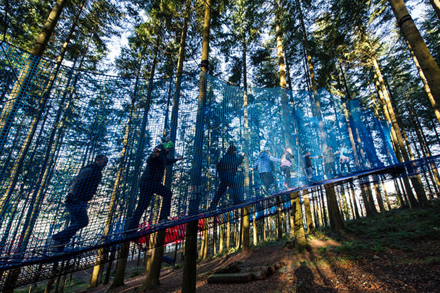 Zip World Treetop Nets® Tickets – 10% Off | Family Adventure in North ...